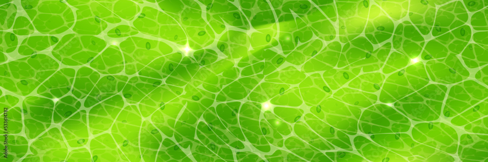 Plant cell texture under a microscope or abstract green wallpaper. Leaf ...