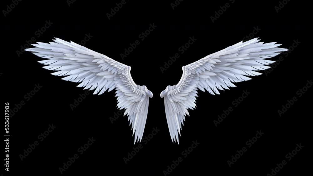 Flapping angel wings - 3d render looped with alpha channel. Stock Video ...