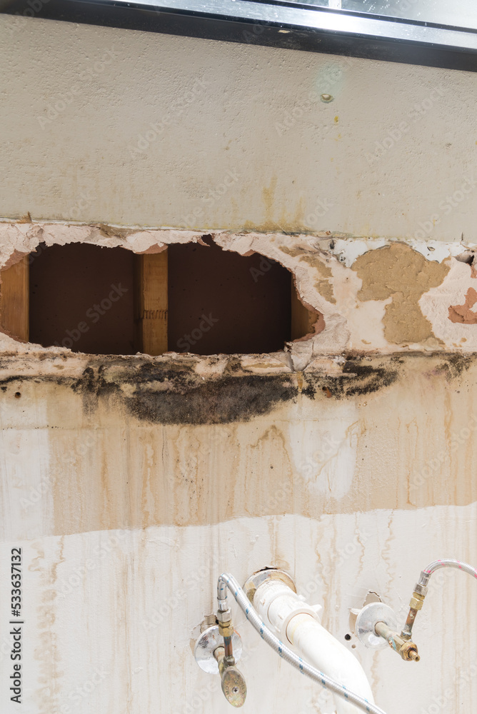 Drywall hole damage with mold, mildew above the drainage pipeline and ...