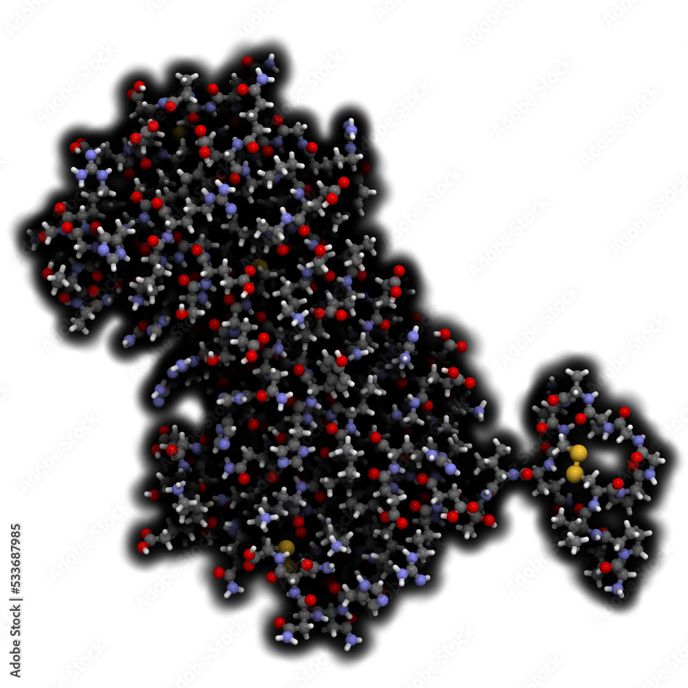 Human prolactin hormone (PRL, luteotropic hormone, LTH), chemical ...