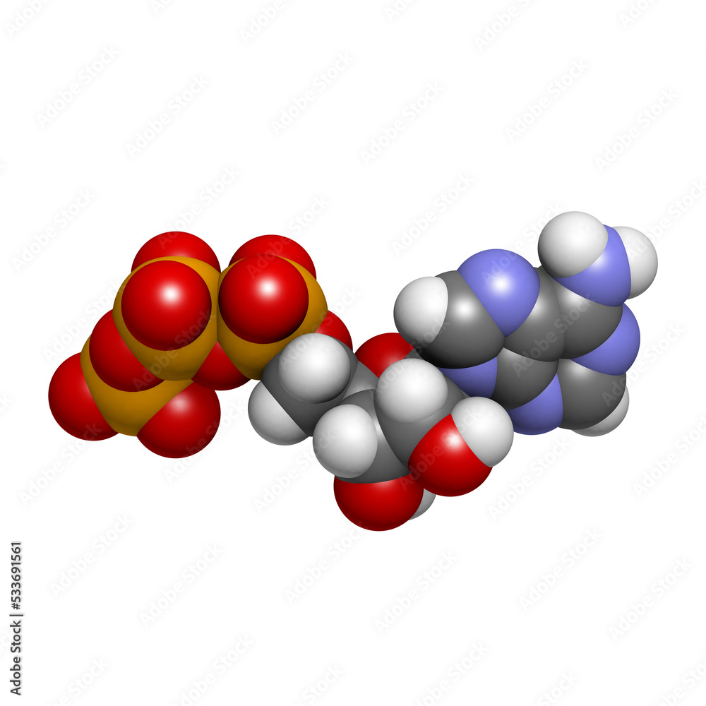Adenosine triphosphate (ATP) energy transport molecule, chemical ...