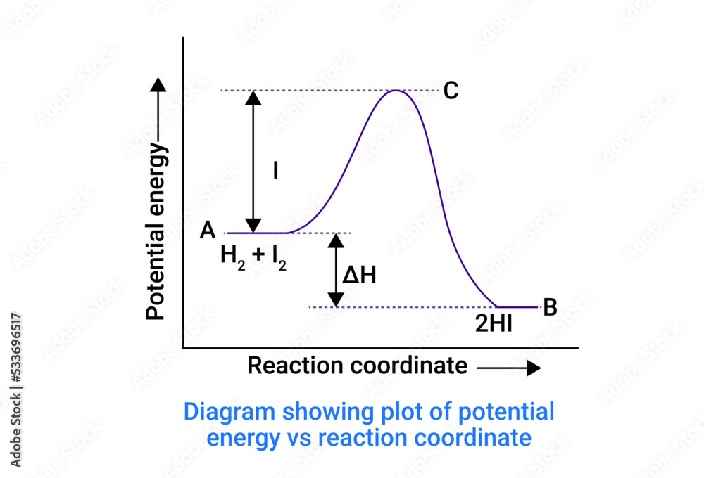 Diagram showing plot of potential energy vs reaction coordinate Stock-Vektorgrafik | Adobe Stock