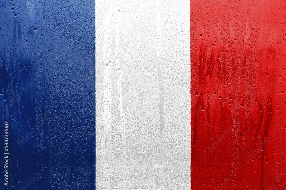 Flag of France, official colors and proportion correctly. National ...