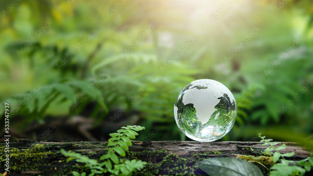 Environmental concept - world map crystal ball in green forest with ...