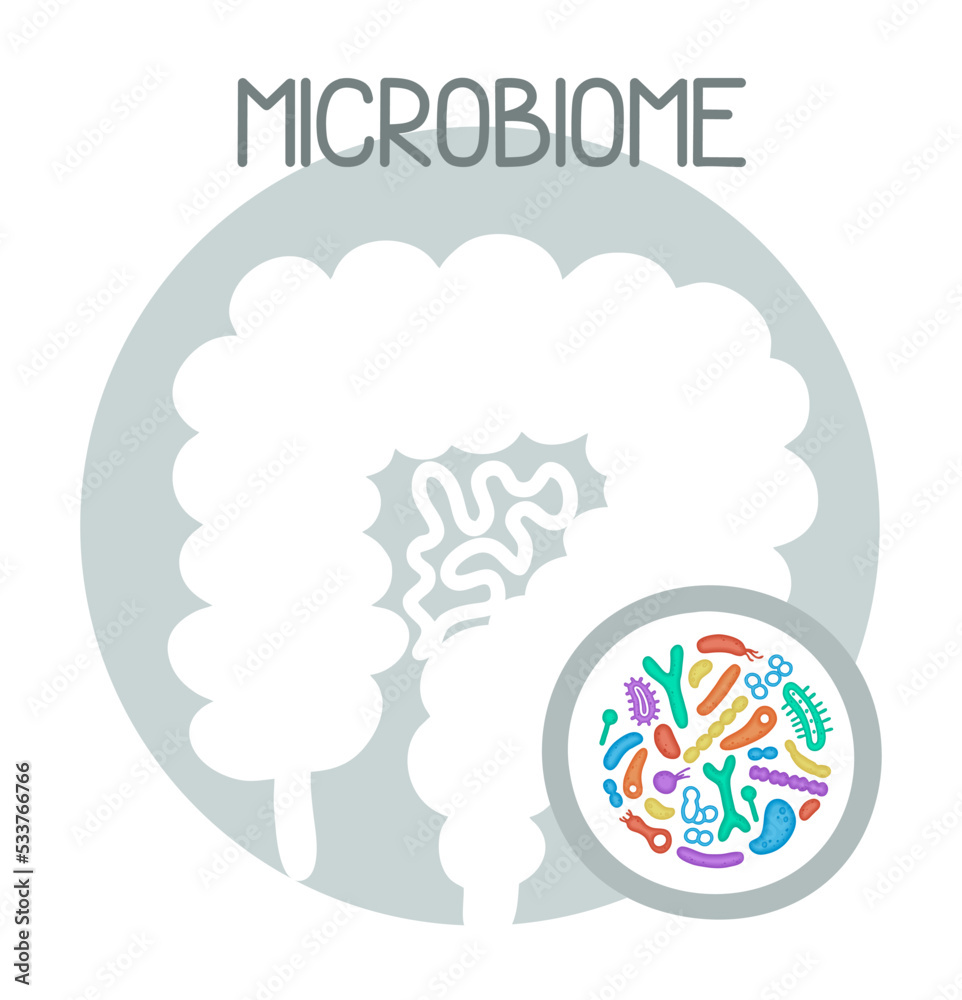 Human microbiome illustration with intestines and bacteria Vector ...