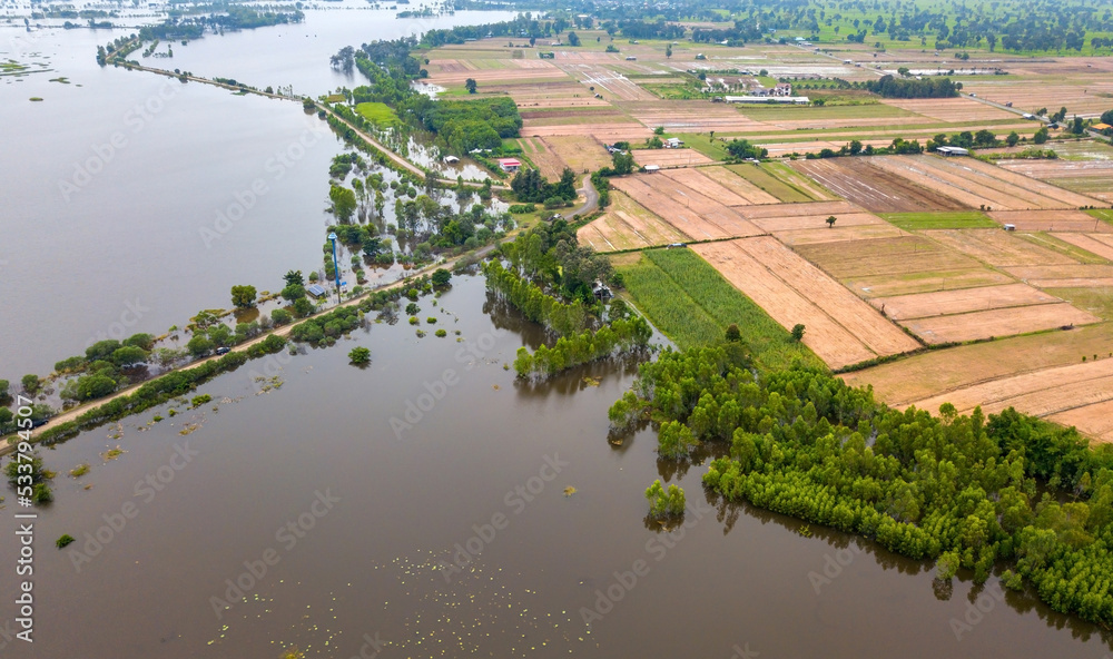 Top view Aerial photo from flying drone.Flooded rice paddies.Flooding ...