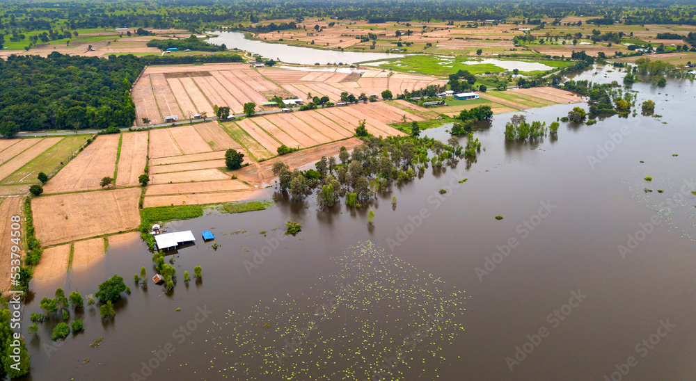 Top view Aerial photo from flying drone.Flooded rice paddies.Flooding ...