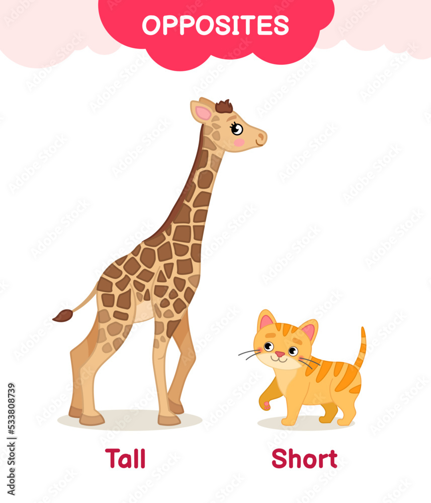 Poster Vector learning material for kids opposites tall short – Wall ...