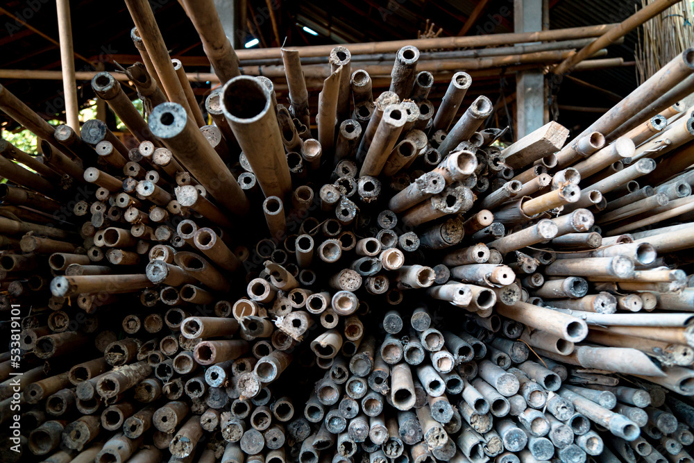 Piles of young and small pieces of bamboo that will be processed into ...