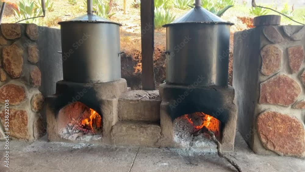 proceso para la fabricacion del destilado de agave, raicilla, bebida de ...
