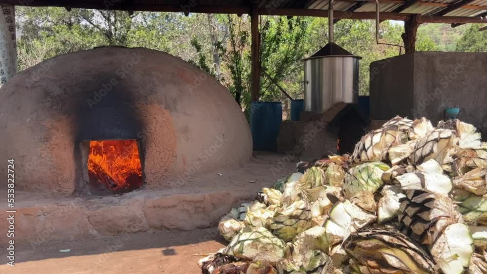 proceso para la fabricacion del destilado de agave, raicilla, bebida de ...