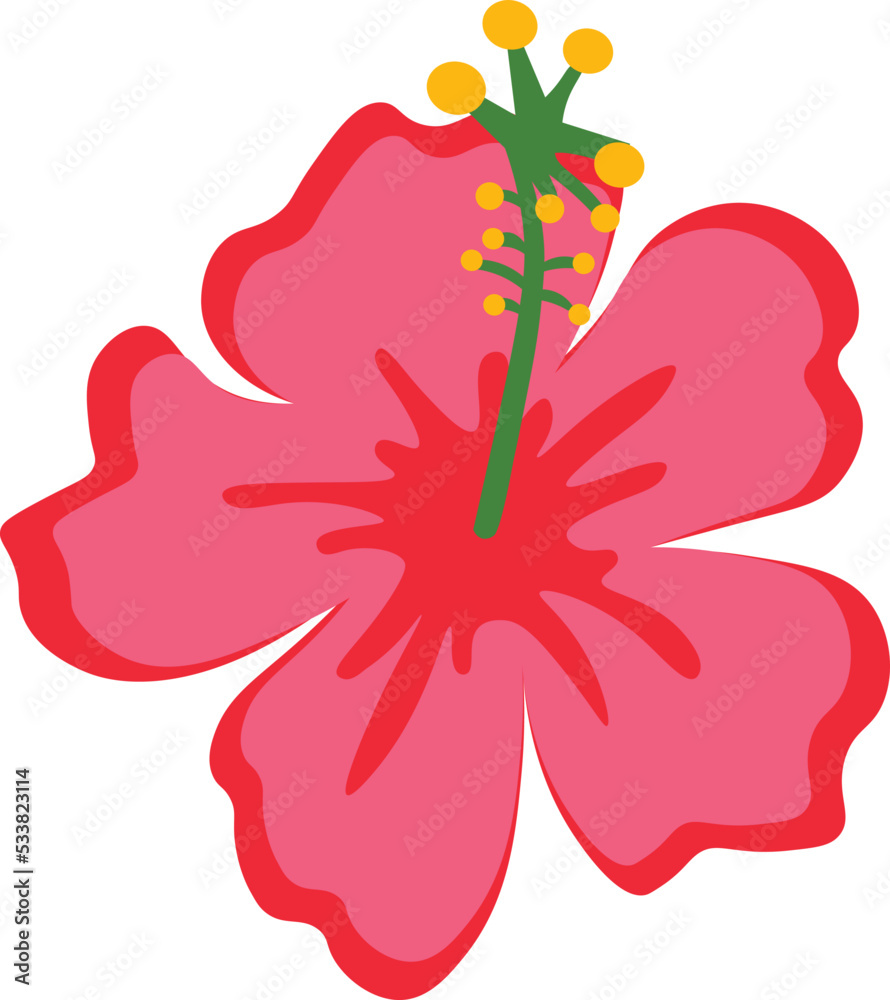 Cute Beautiful Hibiscus Flowers Illustration Vector Clipart Stock ...
