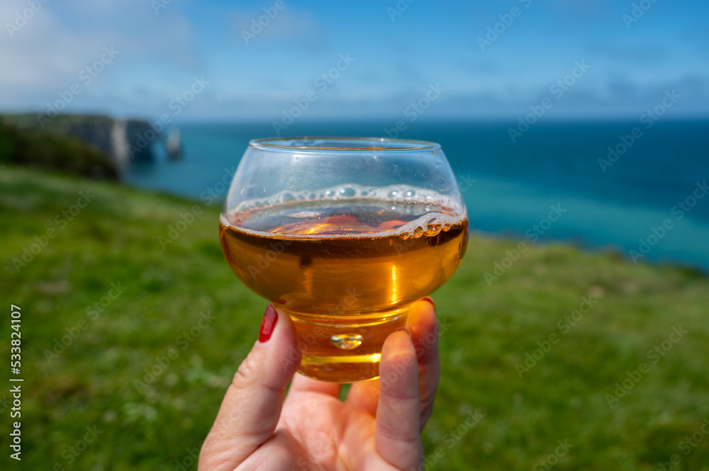 Woman's hand with glass of apple cider drink and view on on green grass ...