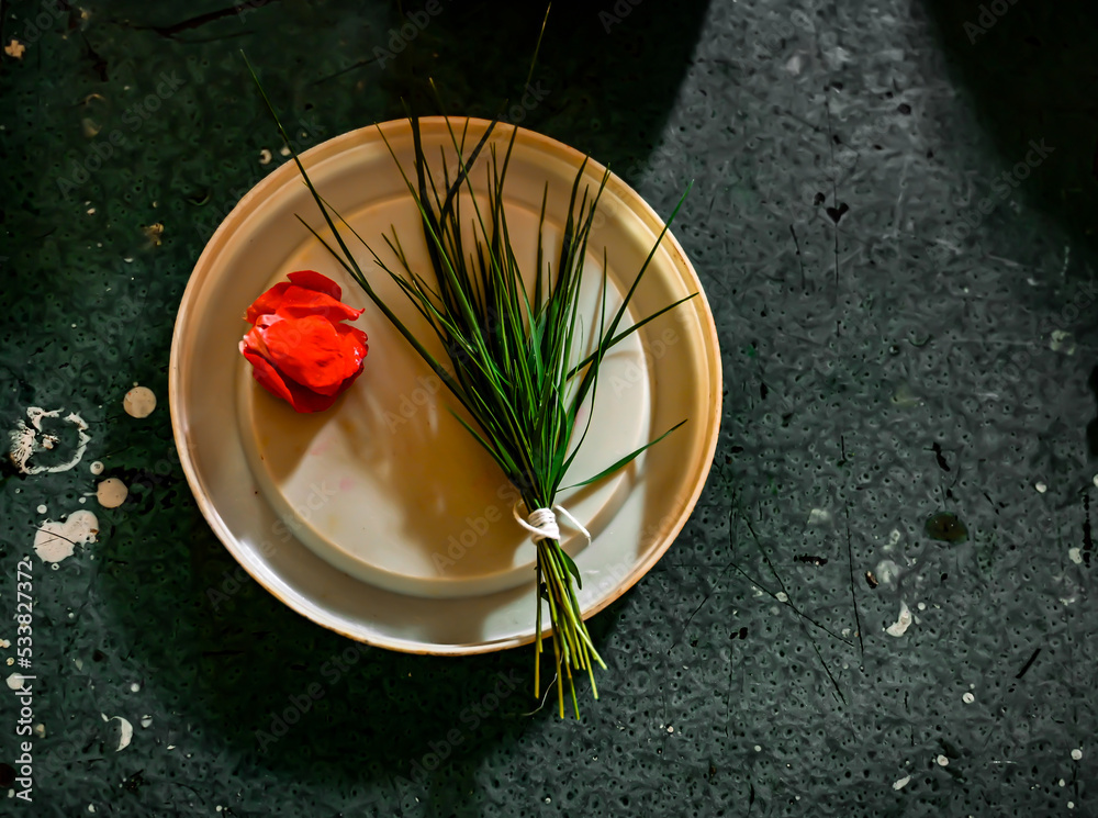 White Plate With Red Petals and Green Grass For Lord Ganesha. Lord ...