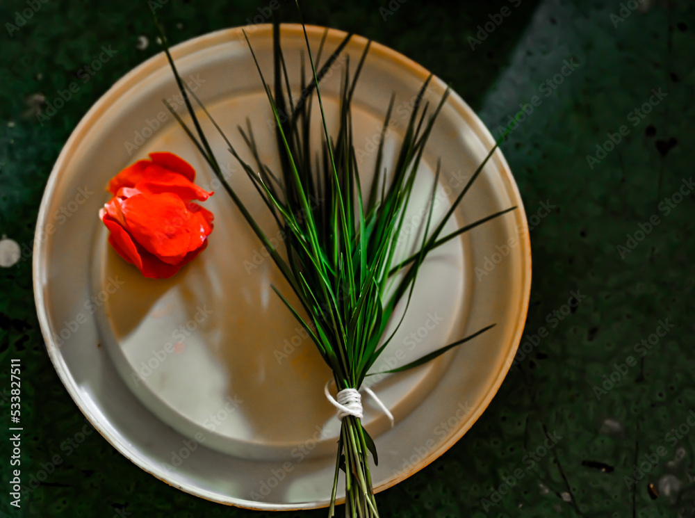 White Plate With Red Petals and Green Grass For Main Hindu God Lord ...