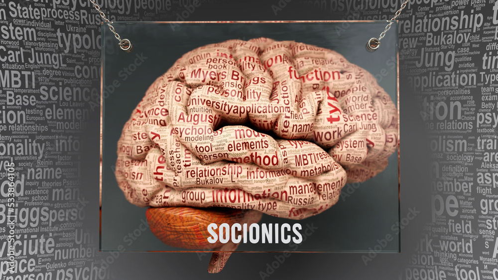 Socionics in human brain - dozens of important terms describing ...