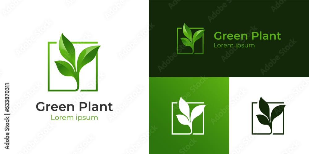 growth plant green nature logo design, fresh tree seeds icon logo for ...