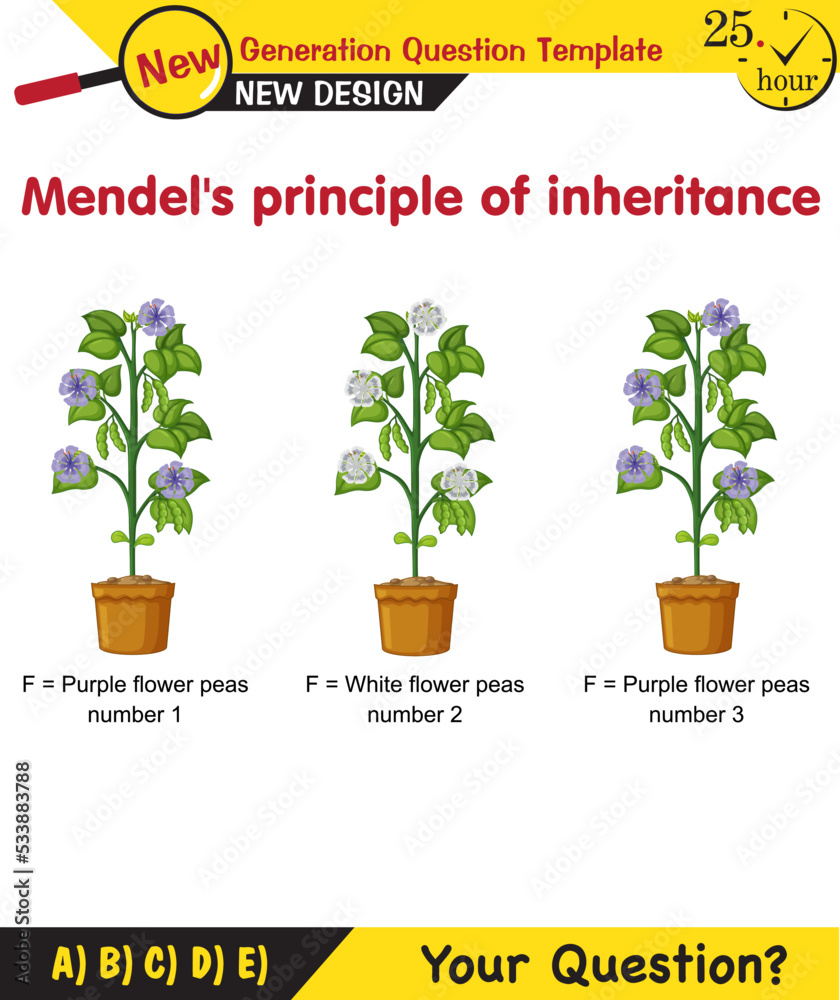 Biology, Heredity Combination, Mendelian genetics, heredity, Peas ...