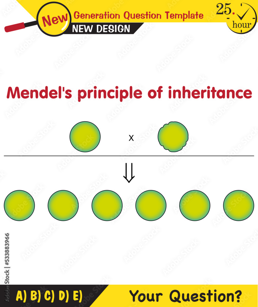 Biology, Heredity Combination, Mendelian genetics, heredity, Peas ...