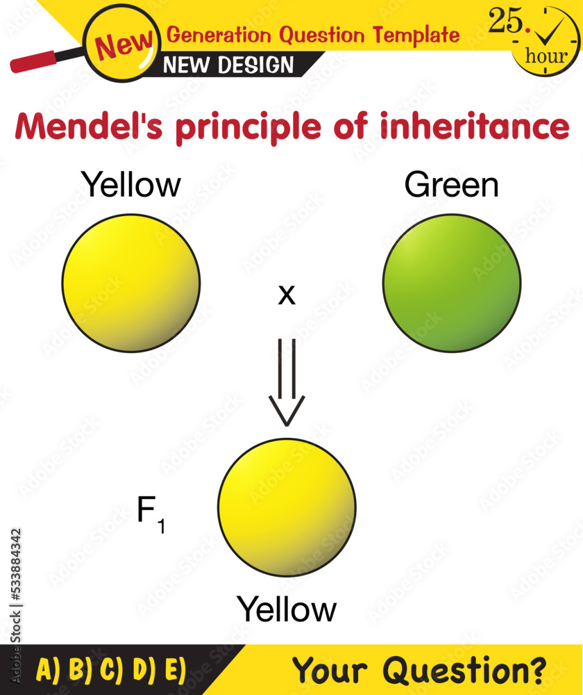 Biology, Heredity Combination, Mendelian genetics, heredity, Peas ...