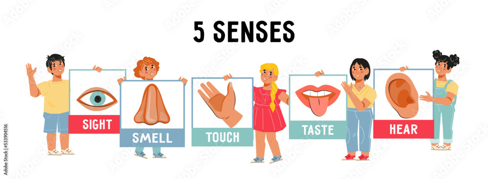 Teaching aid set for children to get acquainted with the functions of ...