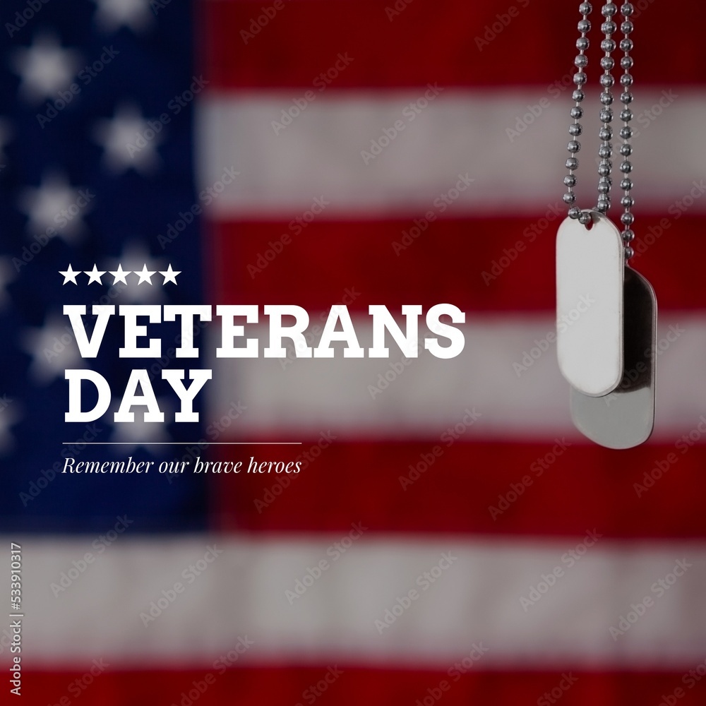 Composition of veterans day text with name tags and flag of united ...