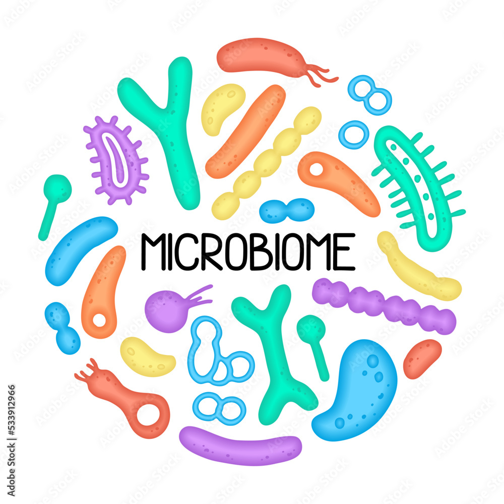 Microbiome illustration of bacteria. Vector image. Gastroenterologist ...