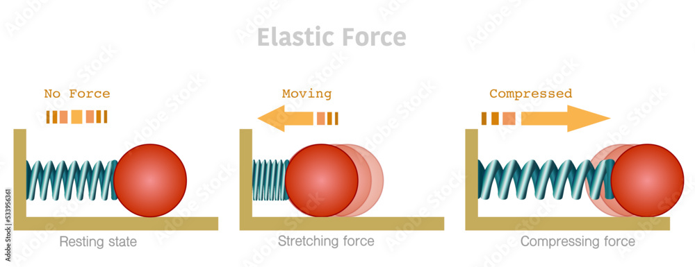Elastic Force Pictures
