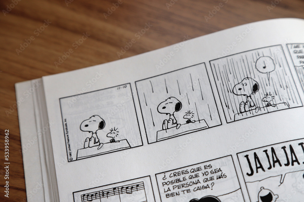Foto de Snoopy and Woodstock. Comic Peanuts. Charlie Brown and his ...