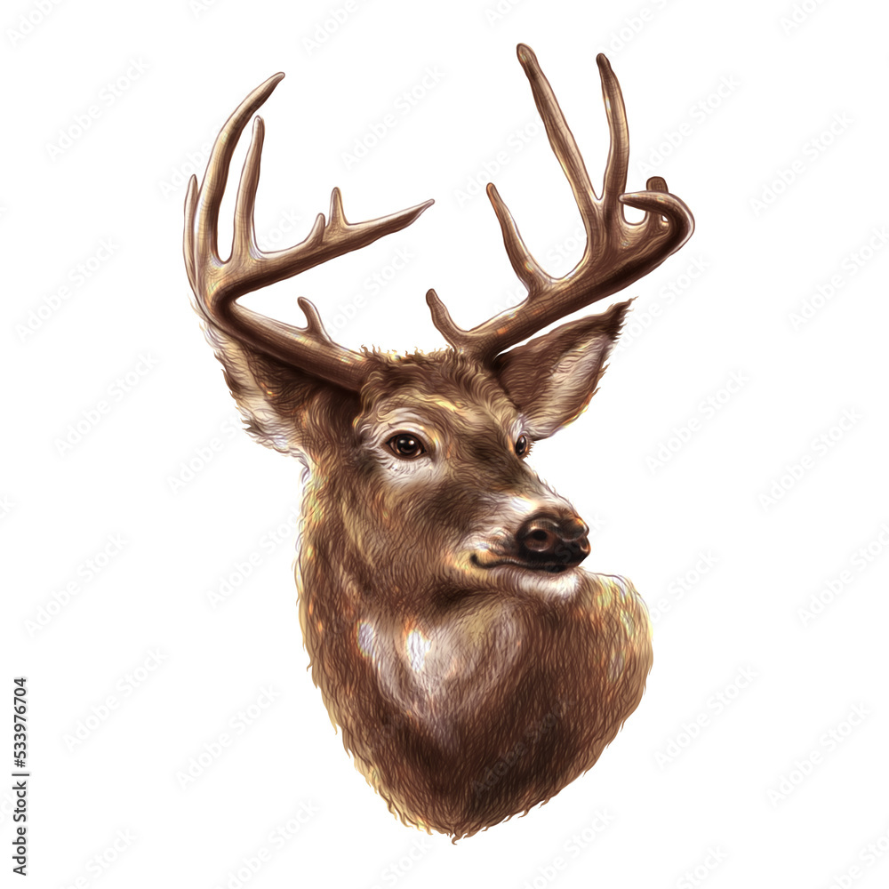 Deer Head Png