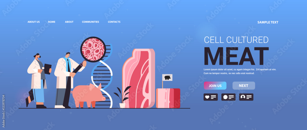 scientists analyzing dna of cultured red raw meat made from animal ...