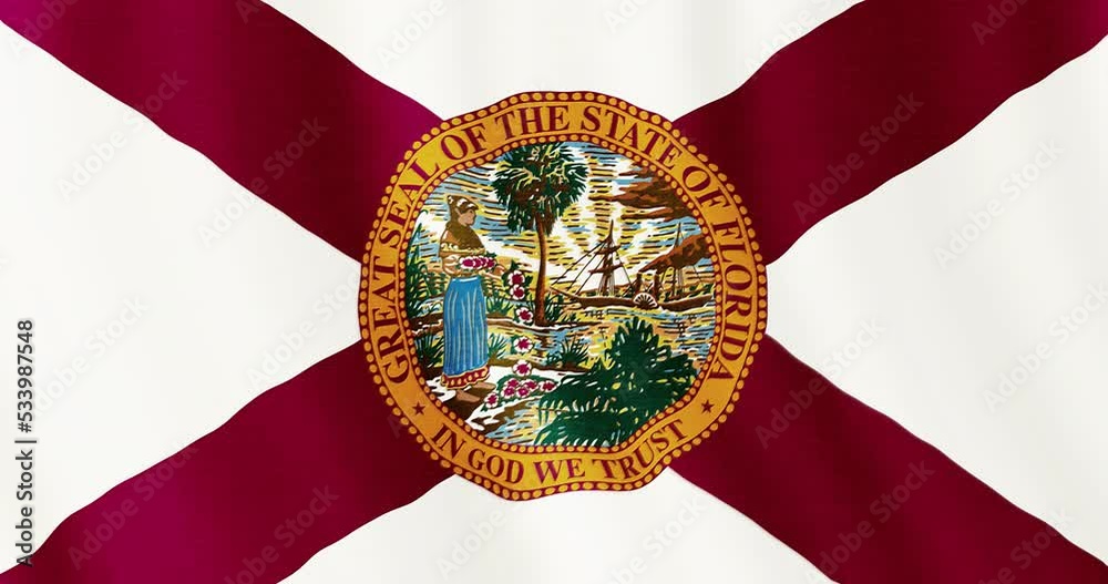 Florida flag seamless loop animation. 4k animation background with flag ...