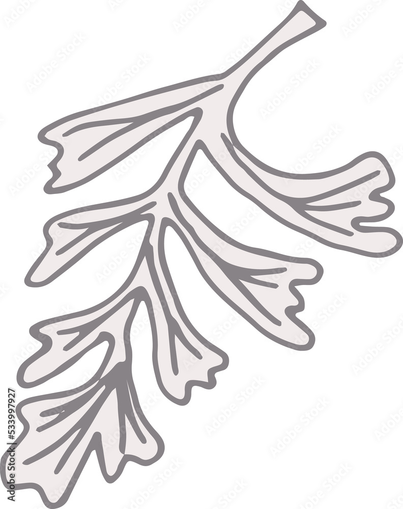 Line imprints of fossil skeletons of prehistoric plants ginkgo, fern ...