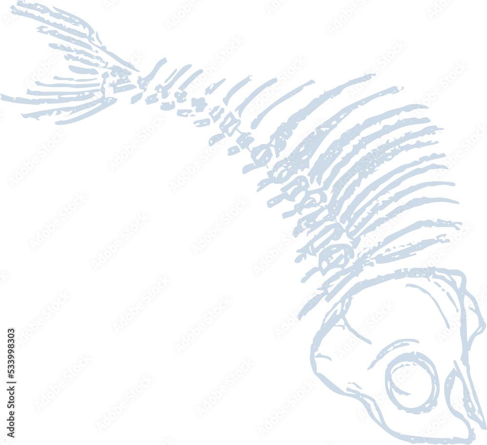 Chalk imprints of fossil of prehistoric animal dinosaur, bird, lizard ...
