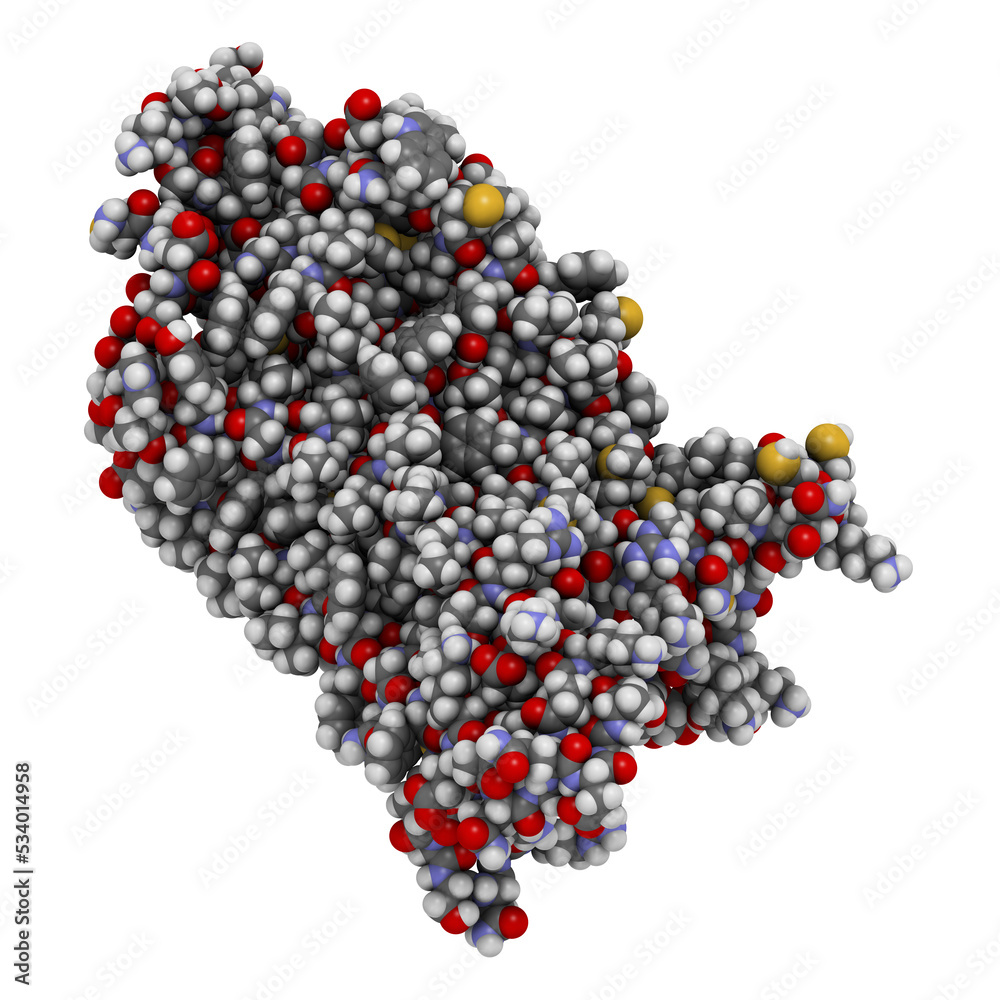 rhodopsin (visual purple) light perception protein, chemical structure ...