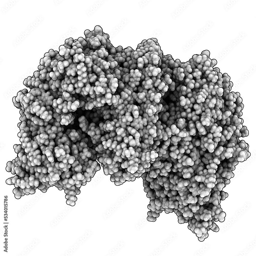 Prostate-specific membrane antigen (PSMA), chemical structure Stock ...