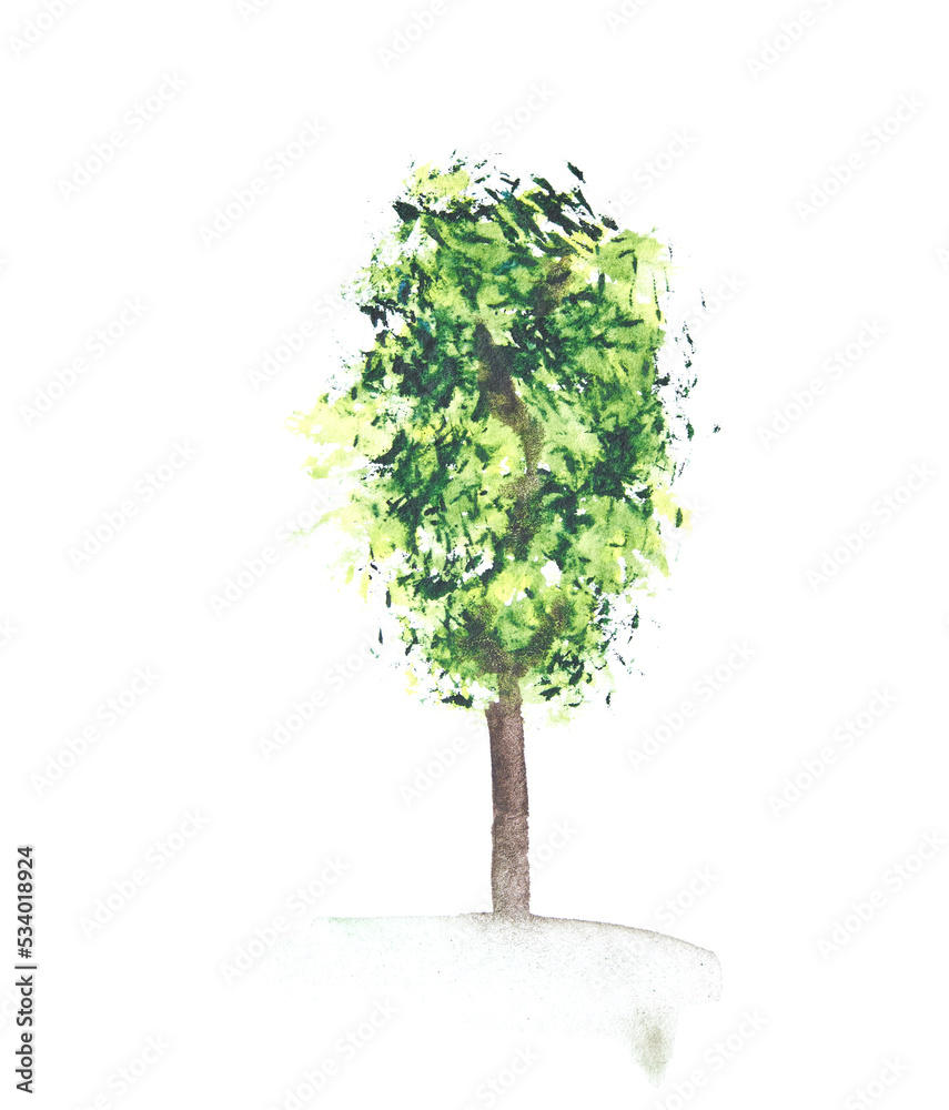 Foliar green watercolor texture tree. Summer flora branch. Beautiful ...