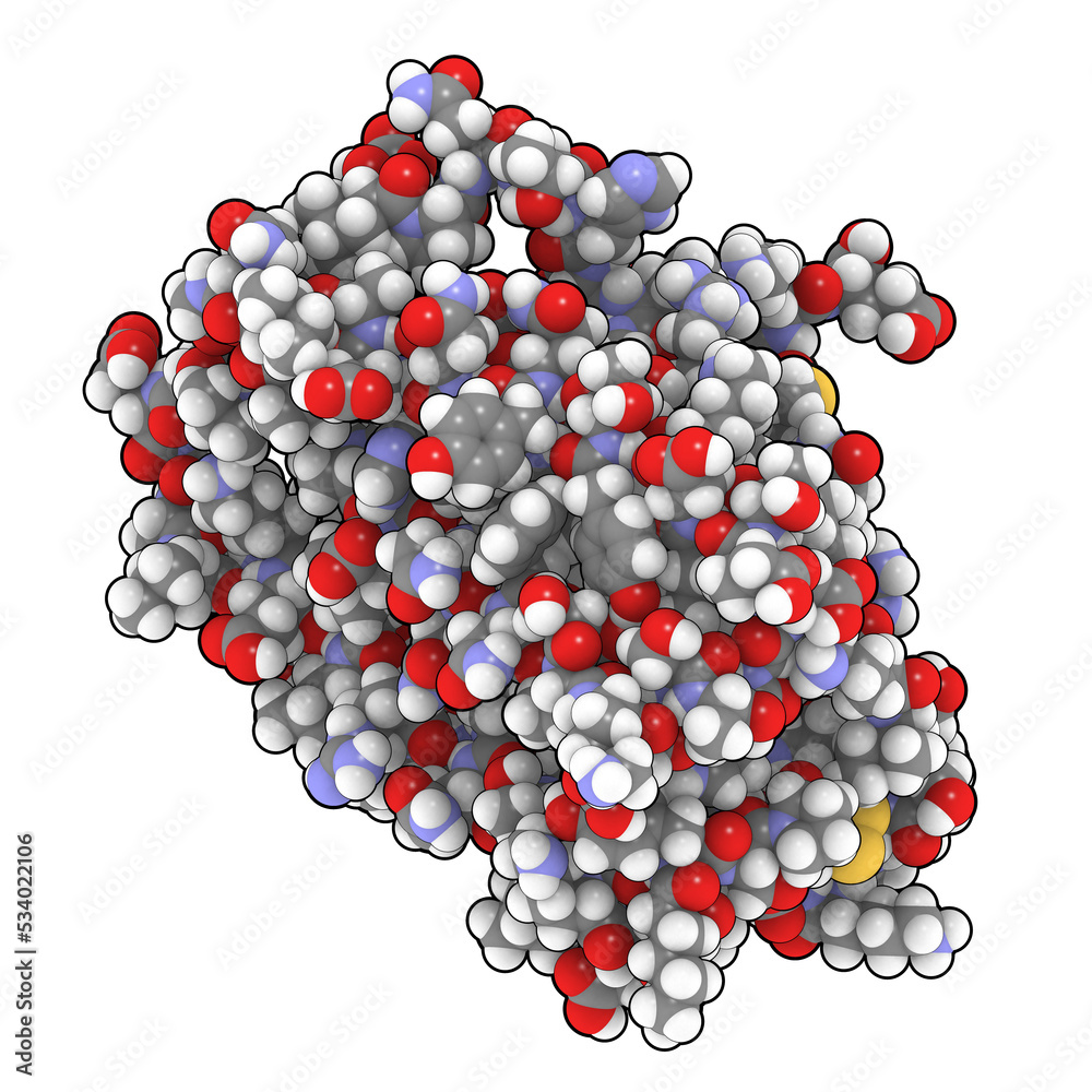 Interferon alpha 2a (IFNA2) molecule, 3D rendering. Pegylated analogs ...