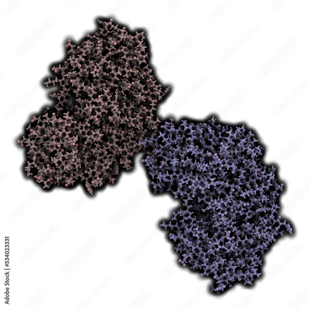 Memapsin 2 (beta secretase) protein, chemical structure Stock ...