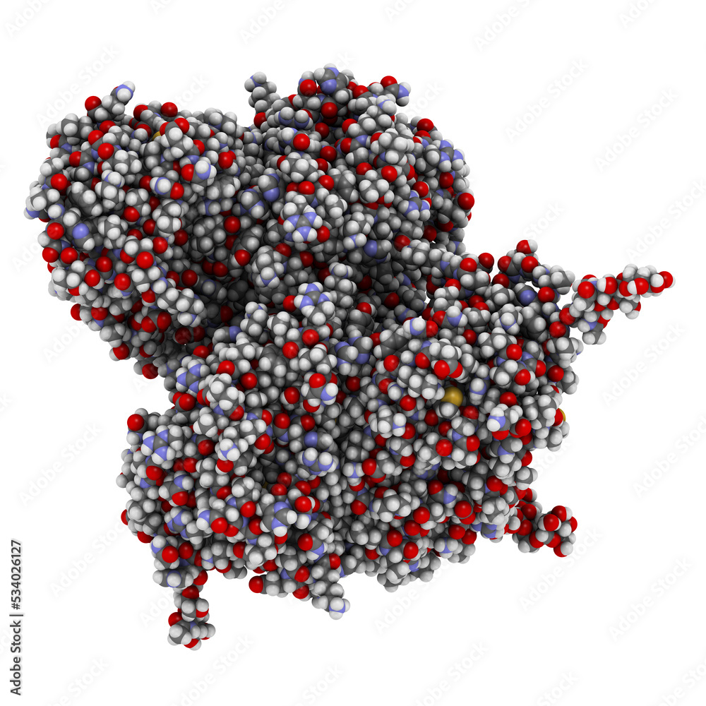 Glucocerebrosidase (beta-glucosidase) enzyme molecule. Deficient in ...