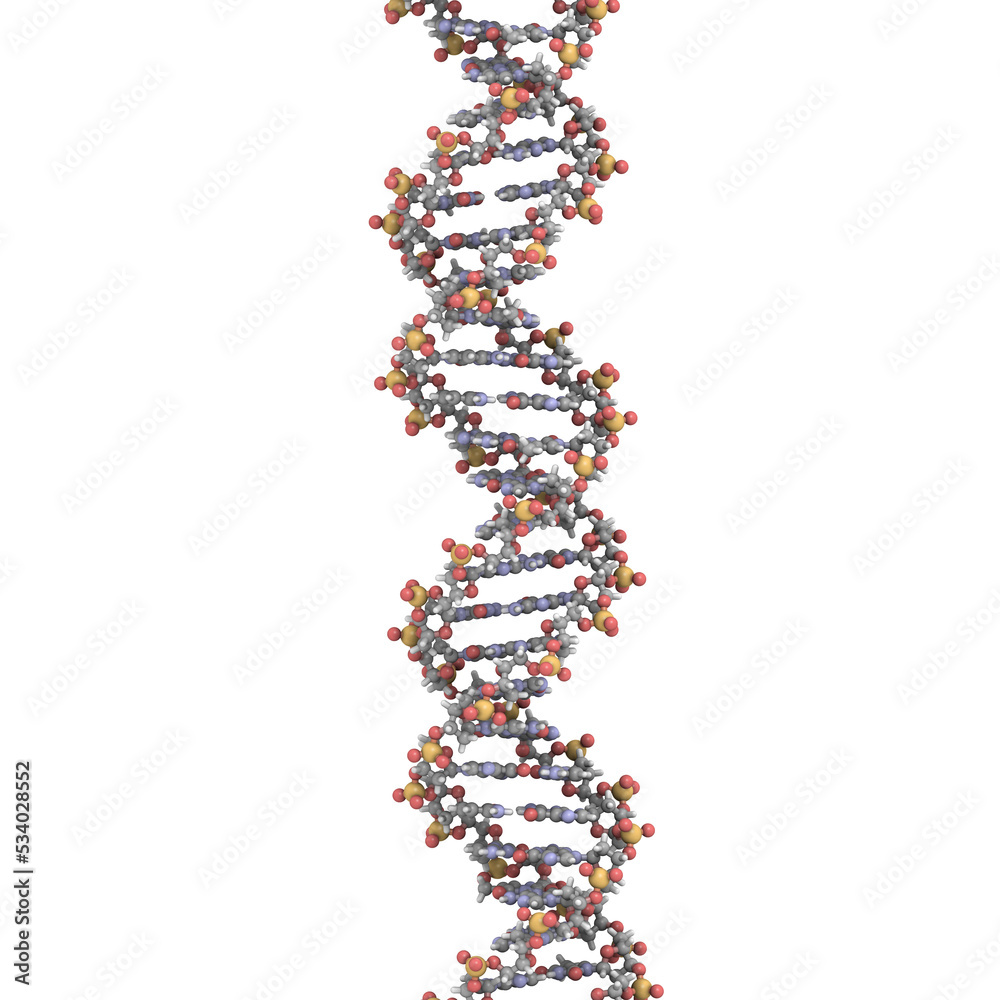 DNA, 3D molecular structure. DNA is the main carrier of genetic ...