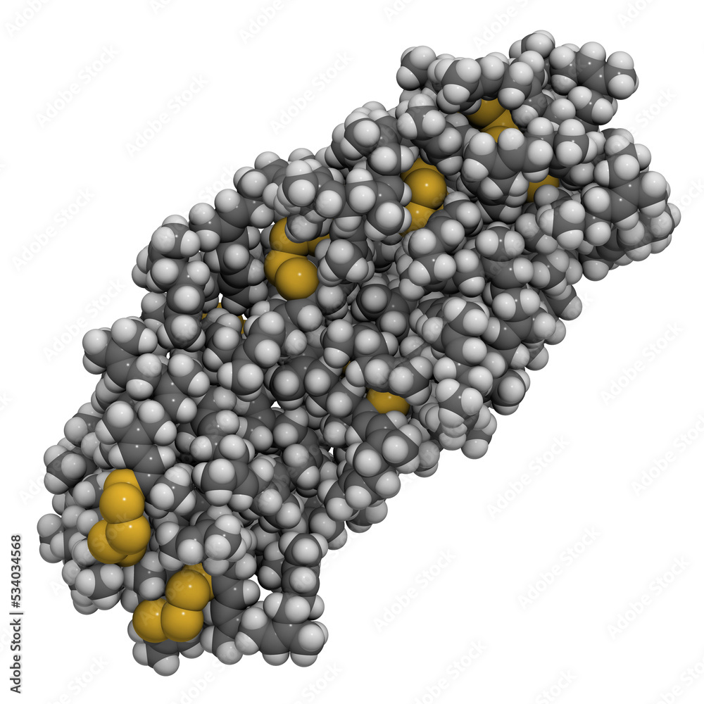 Vulcanized polyisoprene (rubber) molecule, chemical structure. The main ...