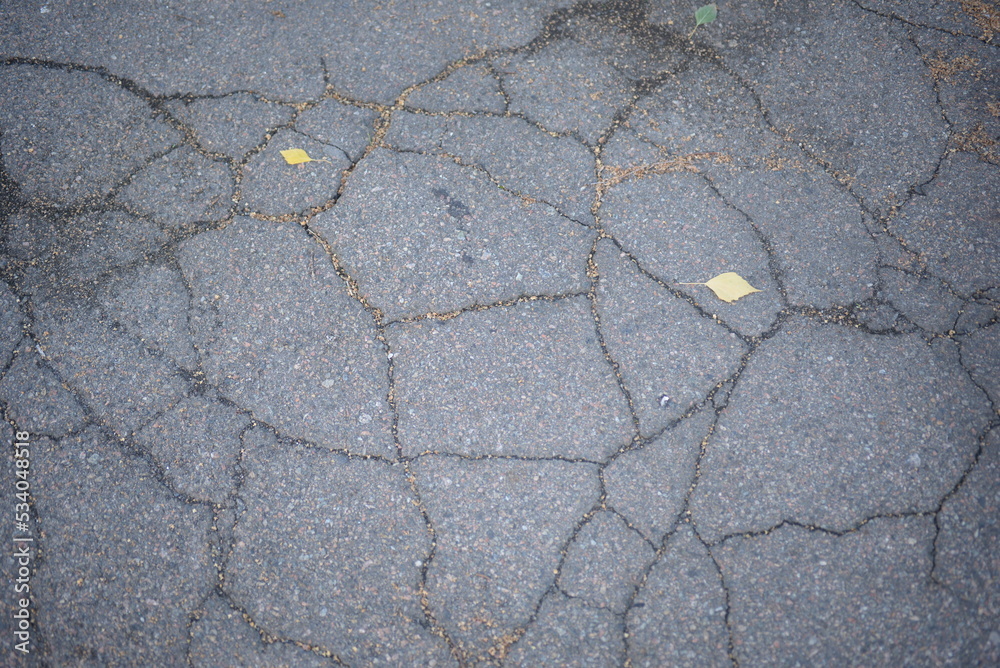 Foto de background of cracks on asphalt, green moss lichen in cracks on ...