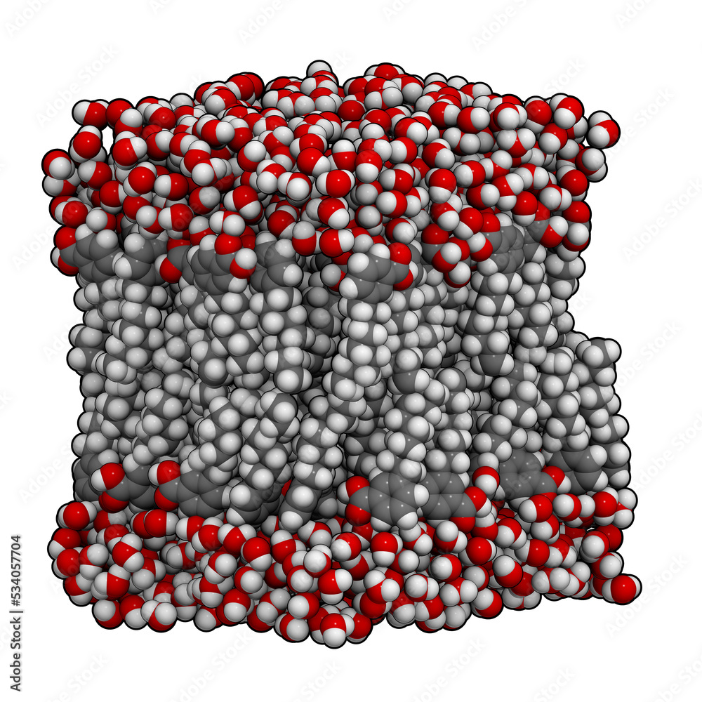 Lipid bilayer cell membrane model, chemical structure. Stock ...