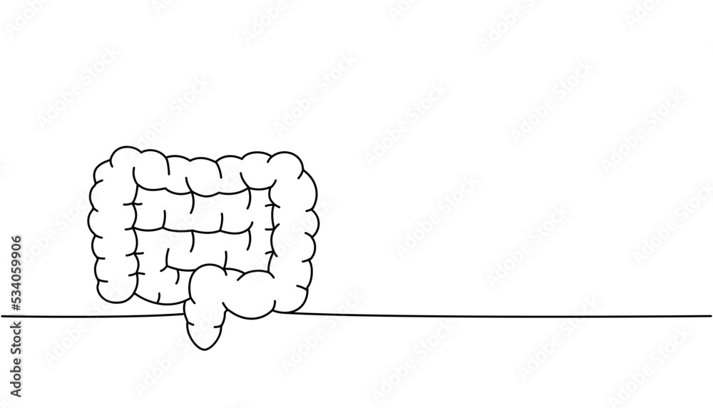 Human intestines one line continuous drawing. Human organ continuous ...
