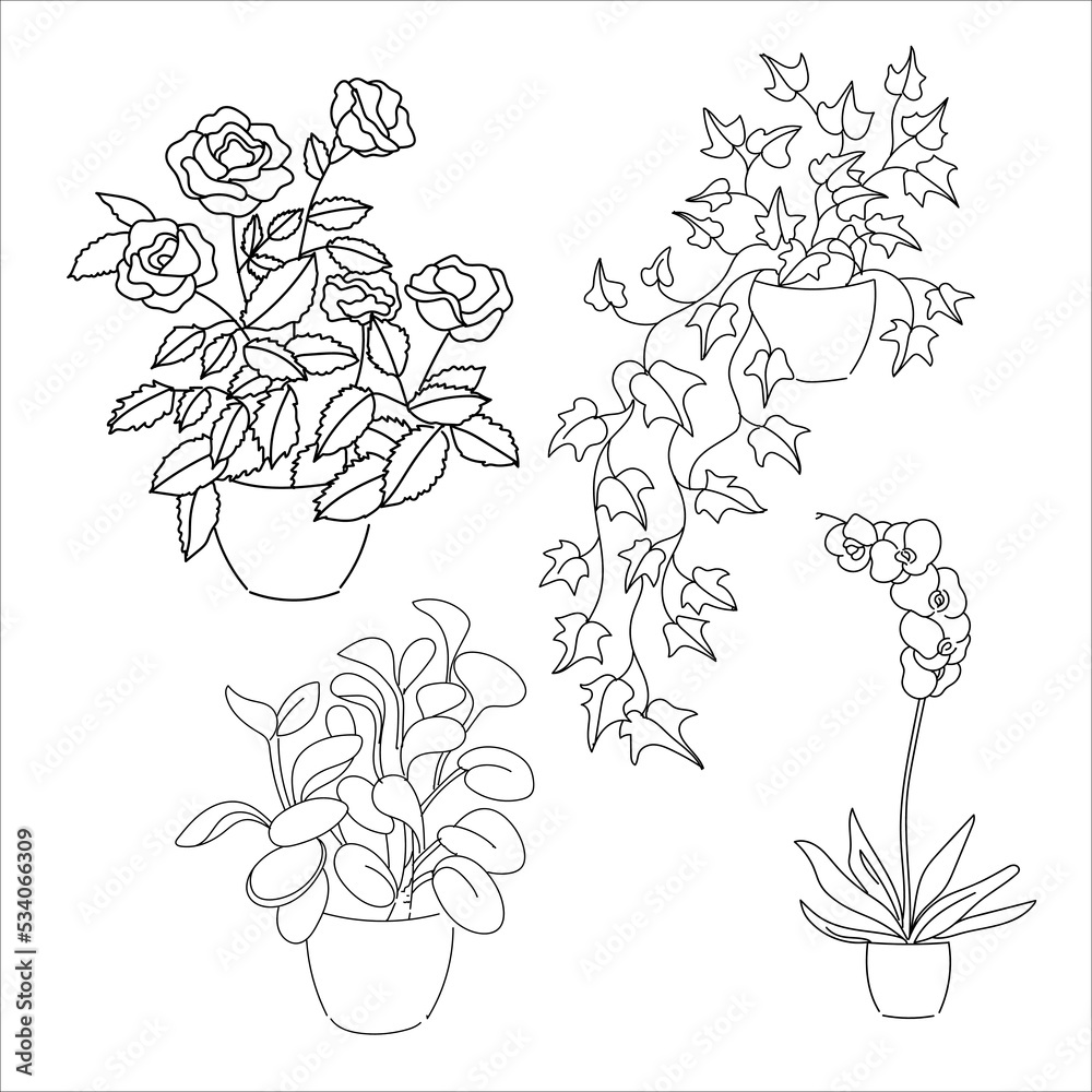 vector illustration linear sketch set house plants line and contour ...