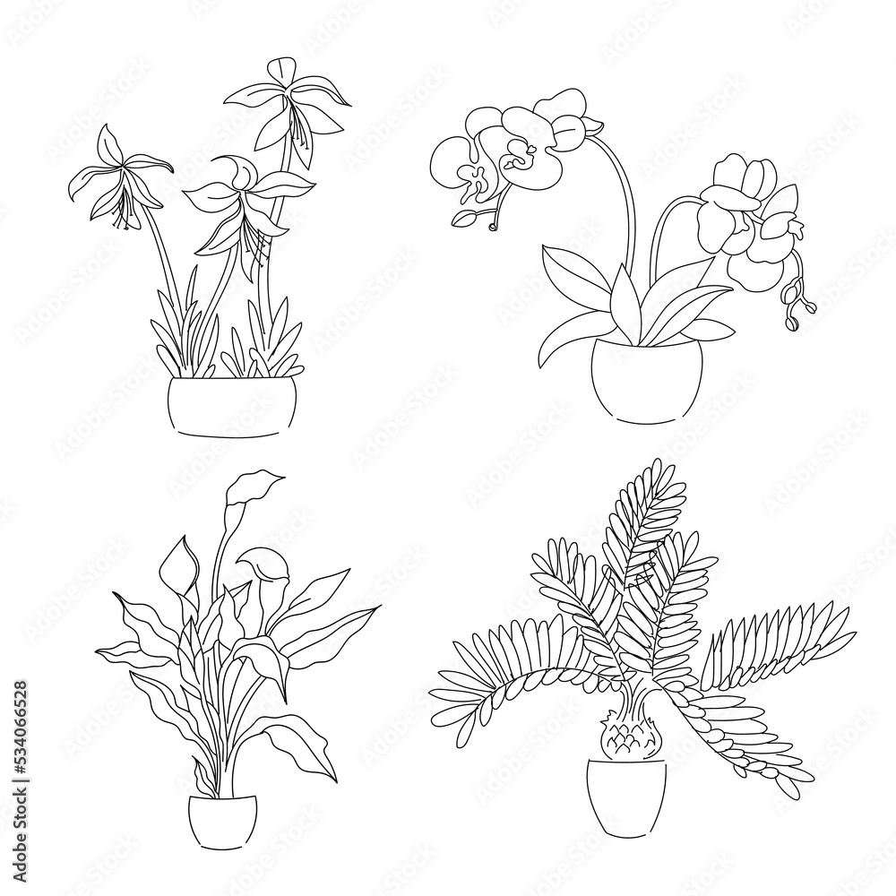 vector illustration linear sketch set house plants one line and contour ...