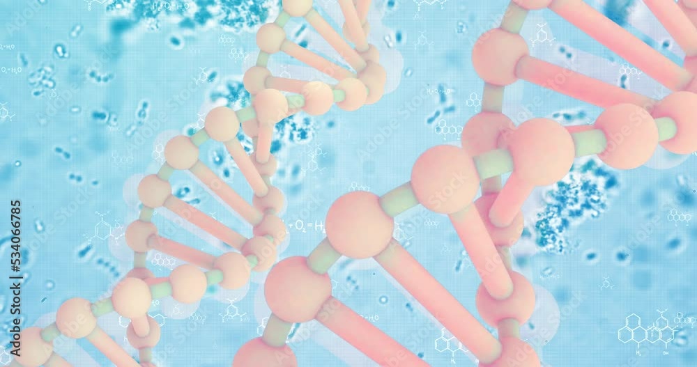 Pink DNA molecule, animation of Double Helix, human genome. Medical ...