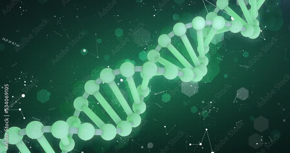 Green DNA molecule, animation of Double Helix Spiral, human genome ...