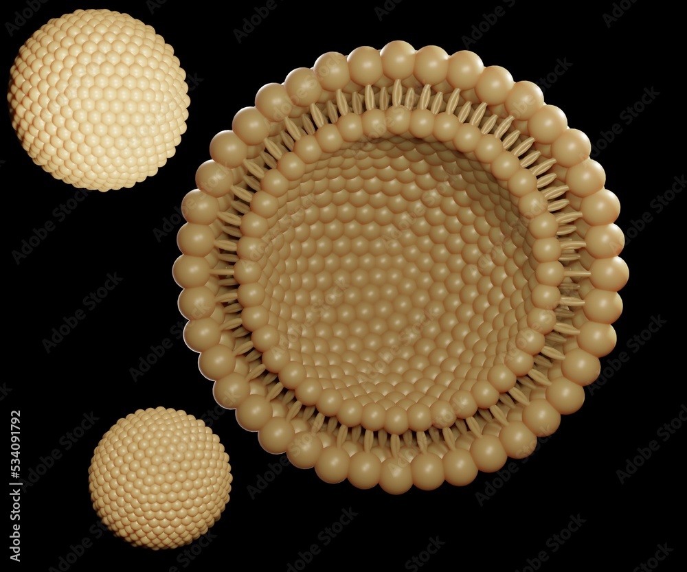 Niosomes are the microscopic lamellar structures in an emerging drug ...